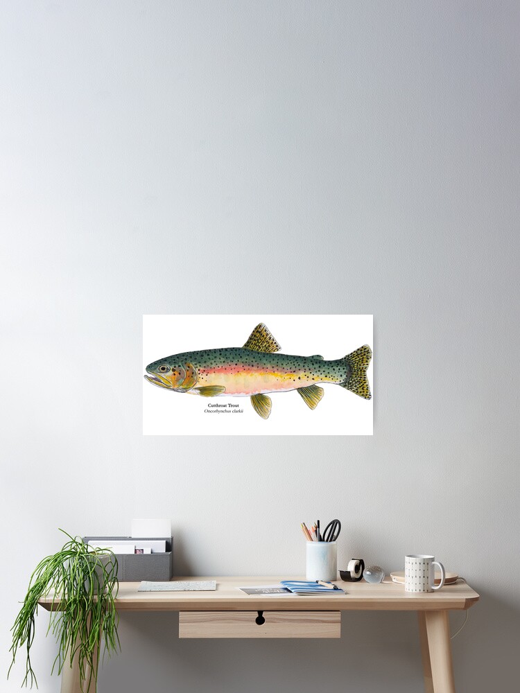 "Cutthroat Trout Painting" Poster for Sale by skemmss | Redbubble