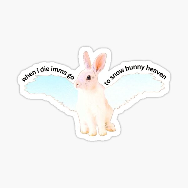"when i die Imma go to snow bunny heaven" Sticker for Sale by ...