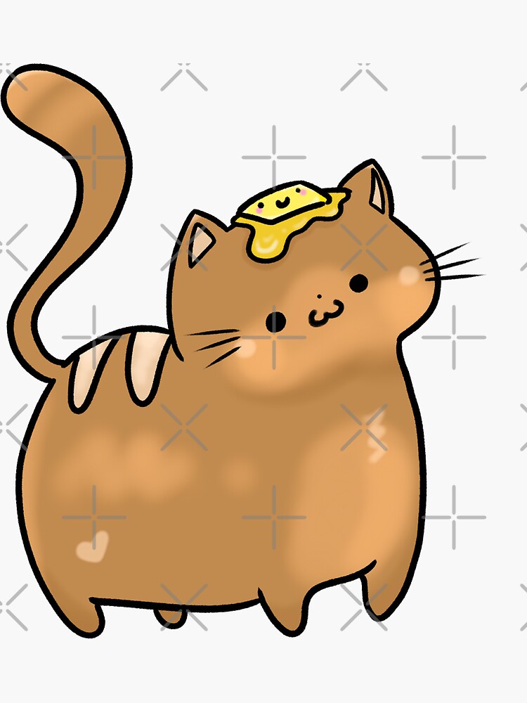 Gif De Pan De Gato Gato Baila Cariñito: El Meme Del Gatito En
