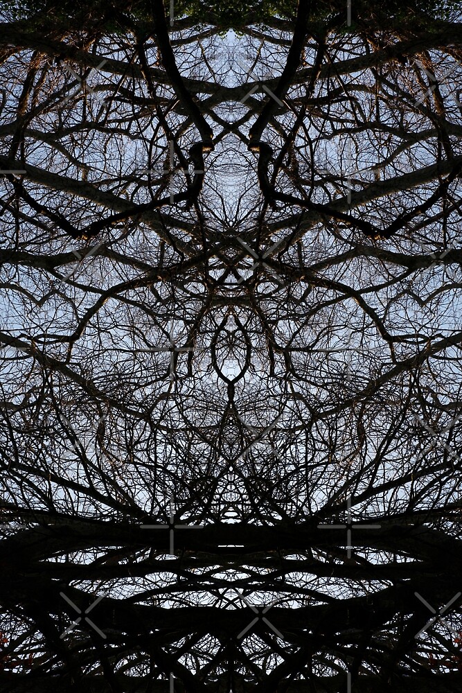 "Abstract tree branches pattern" by steveball | Redbubble