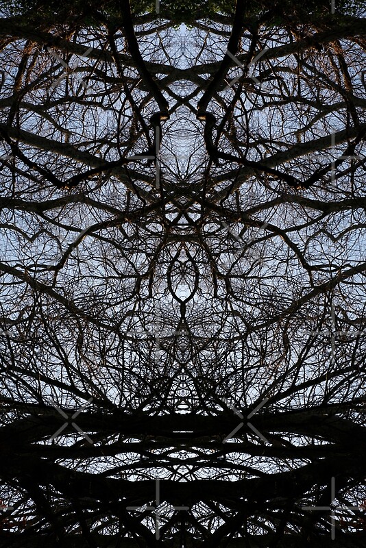 "Abstract tree branches pattern" by steveball | Redbubble