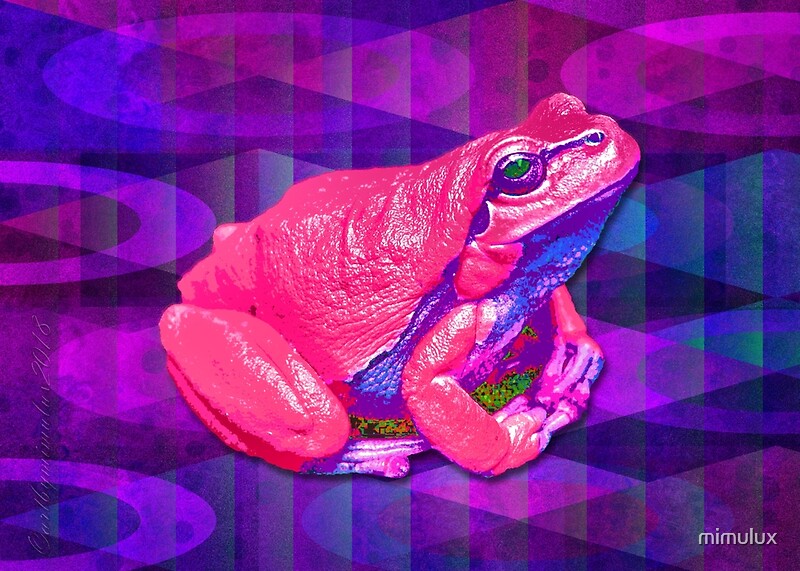 "Raspberry Frog" by mimulux | Redbubble