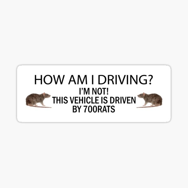 "how am i driving bumper" Sticker for Sale by fanky-bumper | Redbubble
