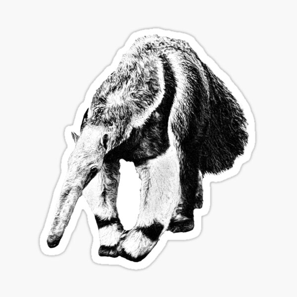 "Giant anteater" Sticker for Sale by Guardi71 | Redbubble