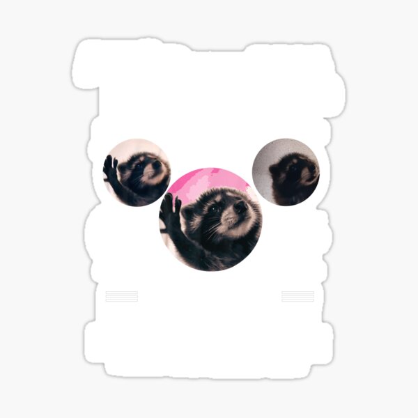 "Pedro Pedro Pedro, Dancing Raccoon - Pedro Racoon" Sticker for Sale by ...