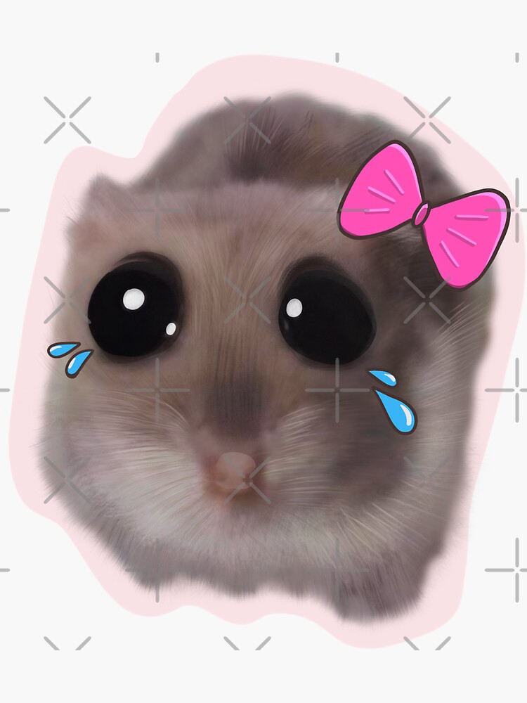 "sad hamster with big eyes and a pink bow" Sticker for Sale by ...