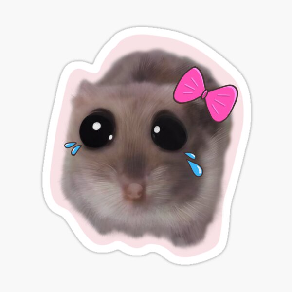 "sad hamster with big eyes and a pink bow" Sticker for Sale by ...