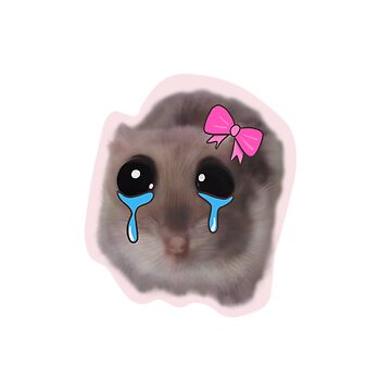 "Sad hamster with big eyes and a pink bow" Sticker for Sale by ...