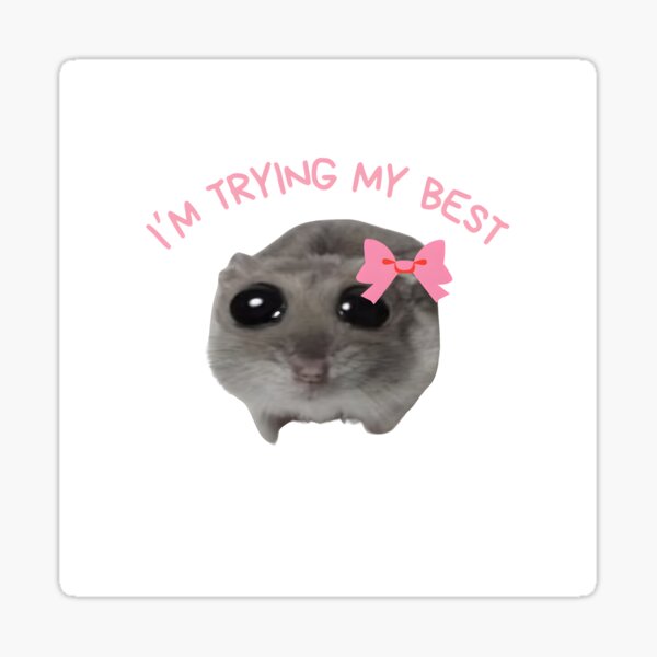 "Sad Hamster Meme" Sticker for Sale by beyonce gigi | Redbubble