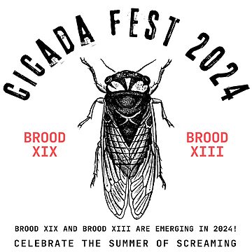 "Cicada Fest 2024 Brood XIX and XIII Emergence Celebrate The Summer of ...
