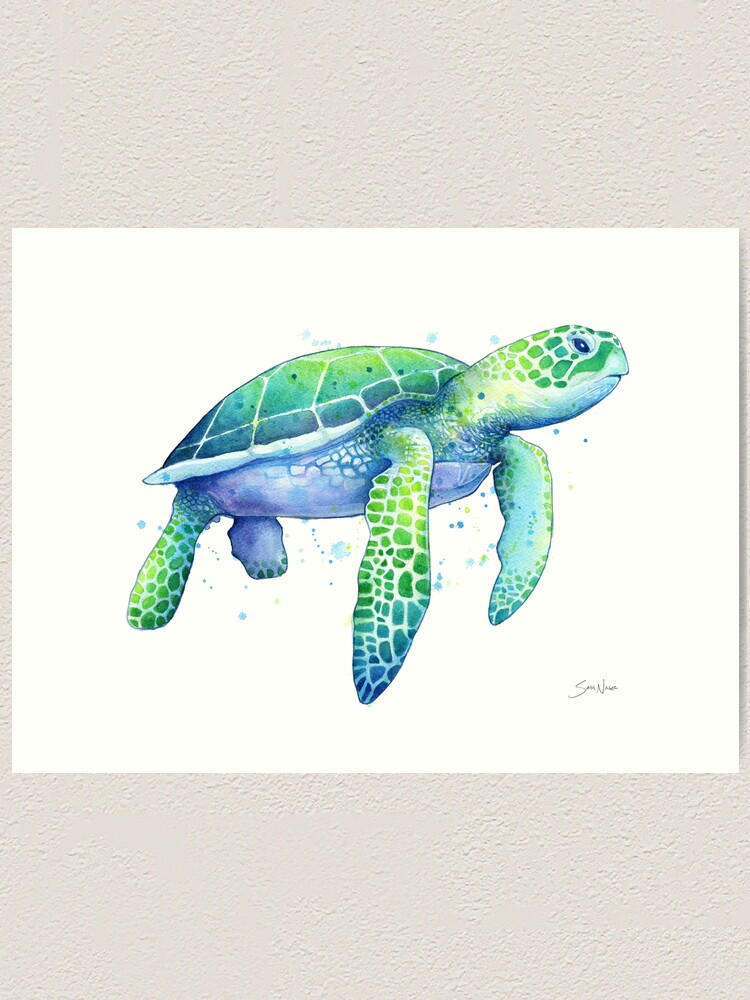 "Green Sea Turtle" Art Print by SamNagel | Redbubble