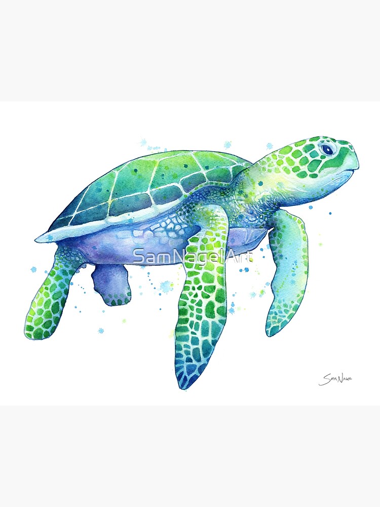 "Green Sea Turtle" Art Print for Sale by SamNagel | Redbubble