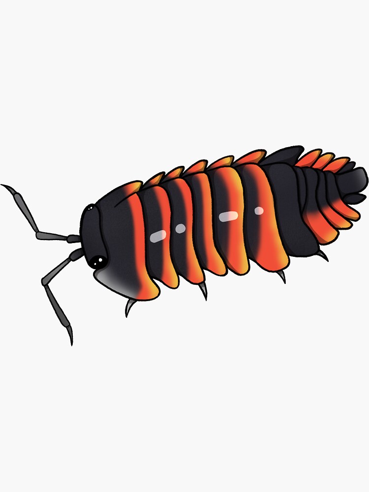 "Merulanella "ember bee" Isopod" Sticker for Sale by Azure-Exotics ...