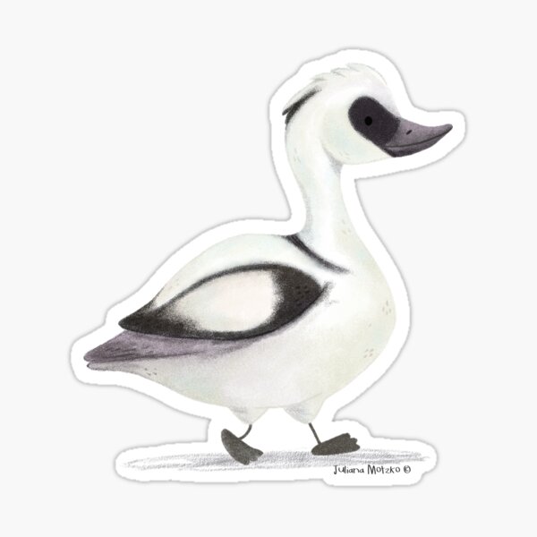 "Smew Duck" Sticker for Sale by julianamotzko | Redbubble
