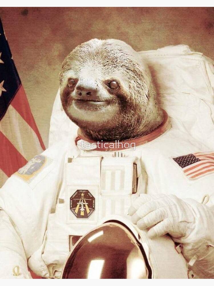"Space Sloth" Poster by tacticalhog | Redbubble