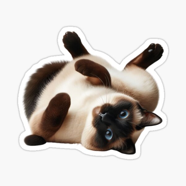 Siames Merch & Gifts for Sale | Redbubble