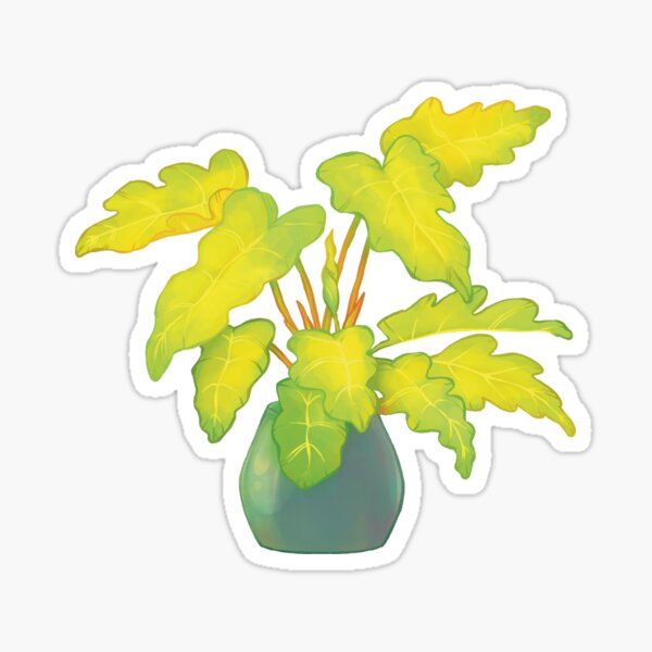 "Philodendron Xanadu Gold " Sticker by Plantphibian | Redbubble
