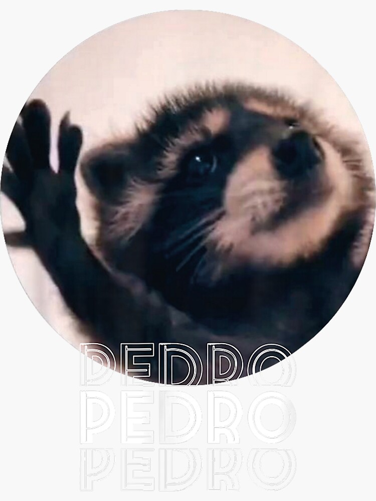 Pegatina for Sale con la obra «Pedro Racoon Dance Camisa popular de ...
