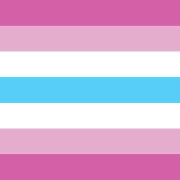"Femboy flag" Sticker for Sale by NameExists | Redbubble