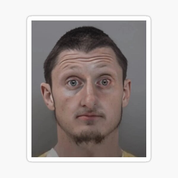 "Daniel Larson Mugshot 1" Sticker for Sale by onisam | Redbubble