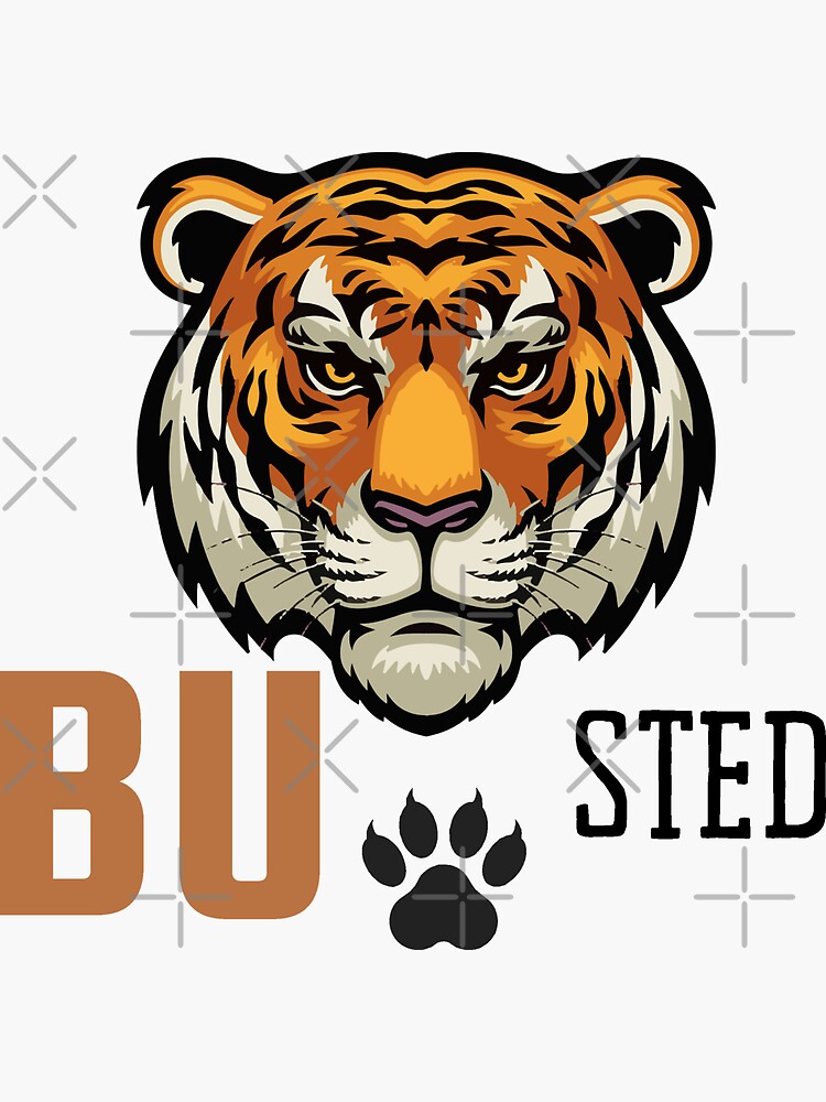 "BUSTED 2024" Sticker for Sale by Avinash Kumar | Redbubble