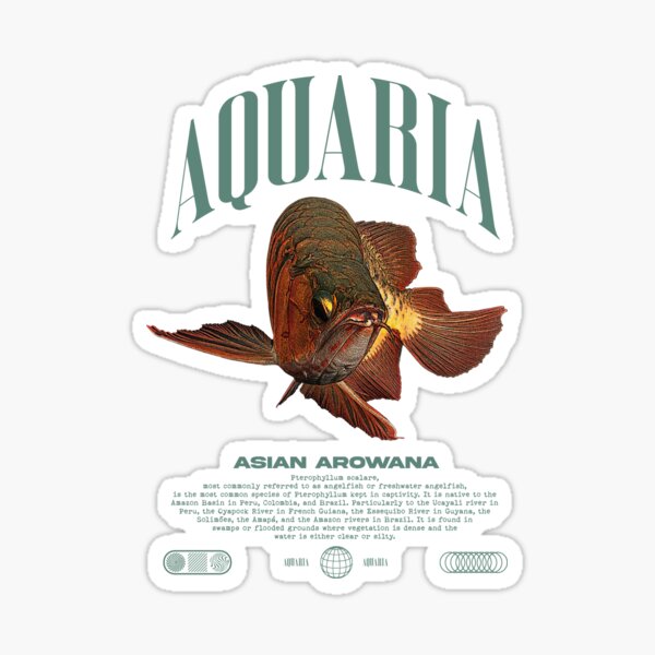 "Asian Arowana Monster Fish Keeper Modern Streetwear" Sticker for Sale ...