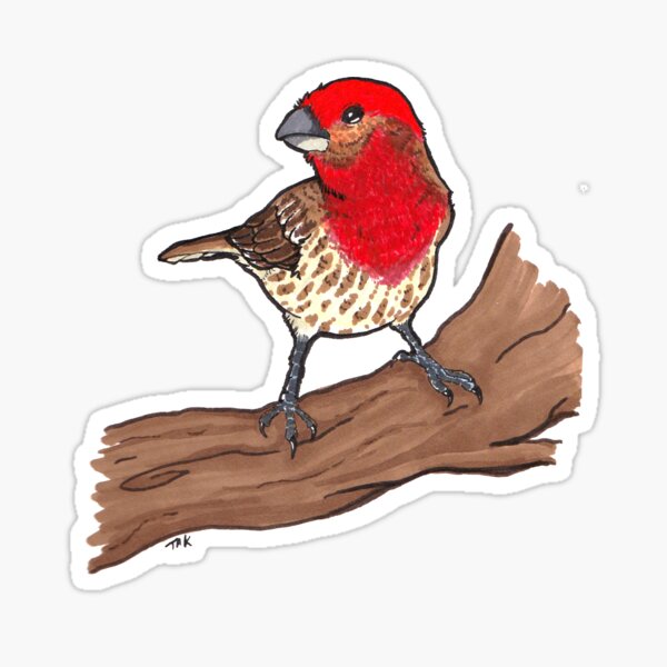 "Male House Finch" Sticker by TakMouse | Redbubble