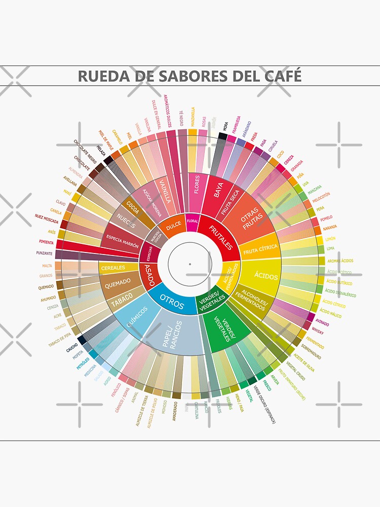 "Coffee Flavour Wheel en Español - Rueda de Sabores del Café" Sticker ...