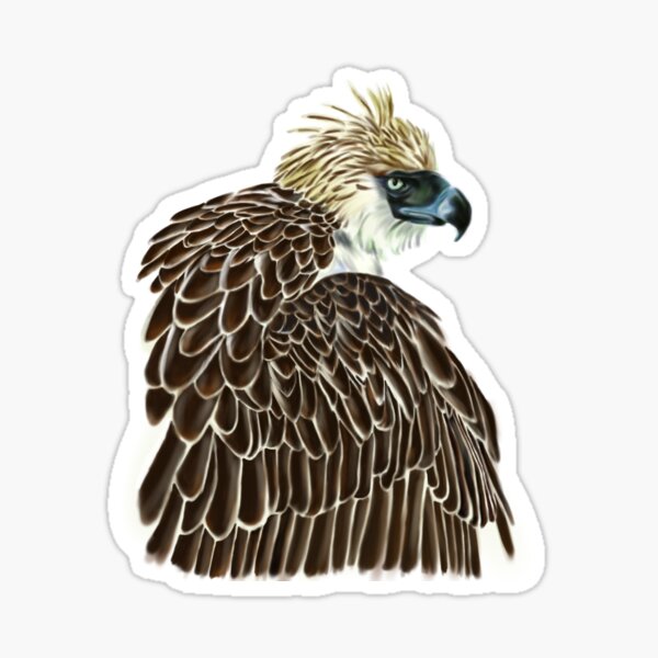 "Majestic Philippine eagle" Sticker for Sale by chrisbats | Redbubble