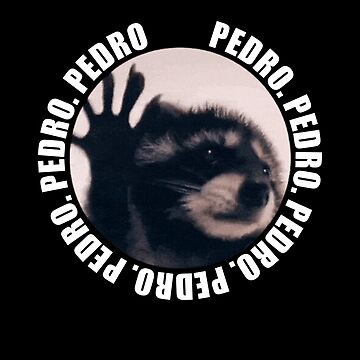 "Pedro Raccoon Dancing - Meme" Sticker for Sale by PixVib | Redbubble