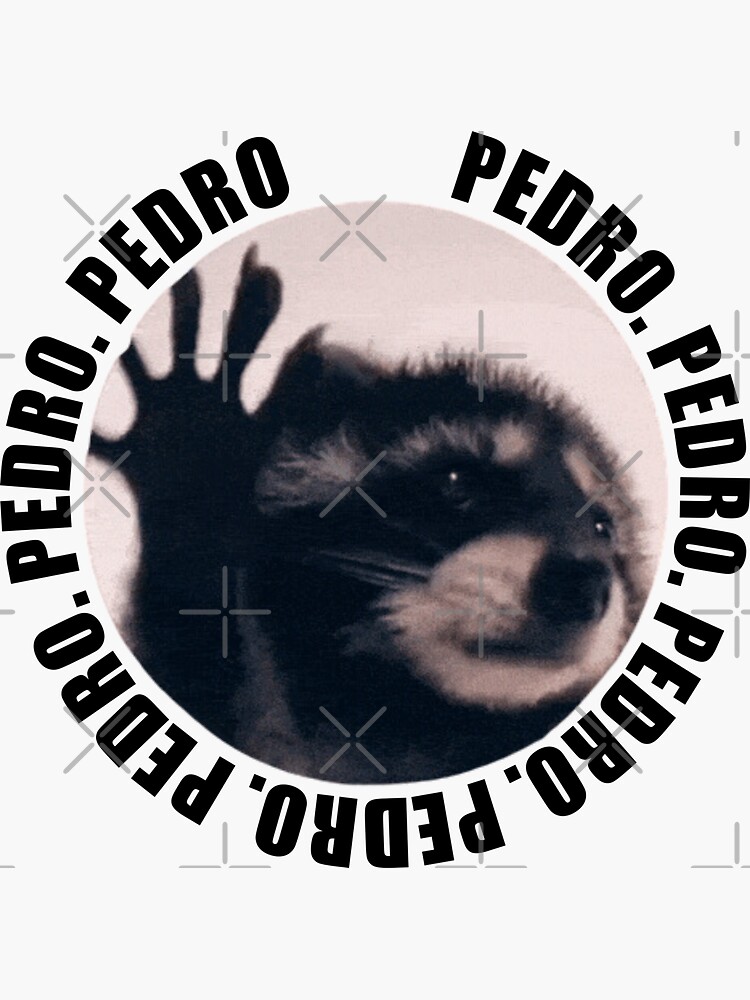 "Pedro Raccoon Dancing - Meme" Sticker for Sale by PixVib | Redbubble
