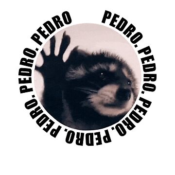 "Pedro Raccoon Dancing" Sticker for Sale by PixVib | Redbubble
