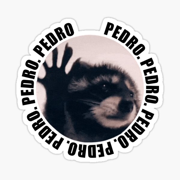 "Pedro Raccoon Dancing" Sticker for Sale by PixVib | Redbubble