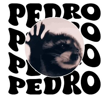 "Pedro Raccoon Dancing | Meme" Sticker for Sale by PixVib | Redbubble