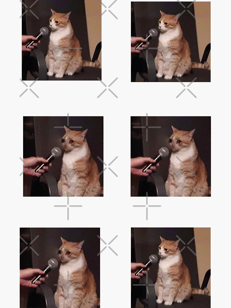 "cat meme, cat with microphone, cat meme with microphone, orange cat ...