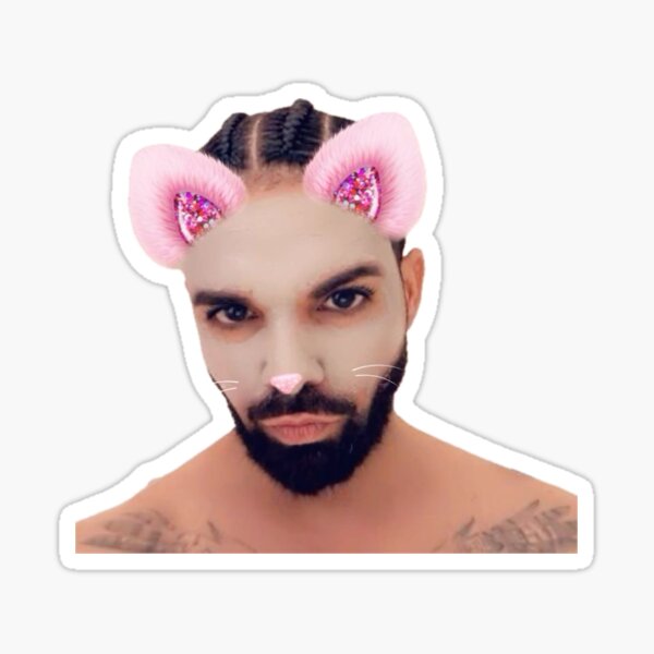 "Zesty Ahh Drake" Sticker for Sale by ConstoStore | Redbubble