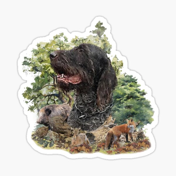 "German Wirehaired Pointer by Erich" Sticker for Sale by TammyHunterArt ...
