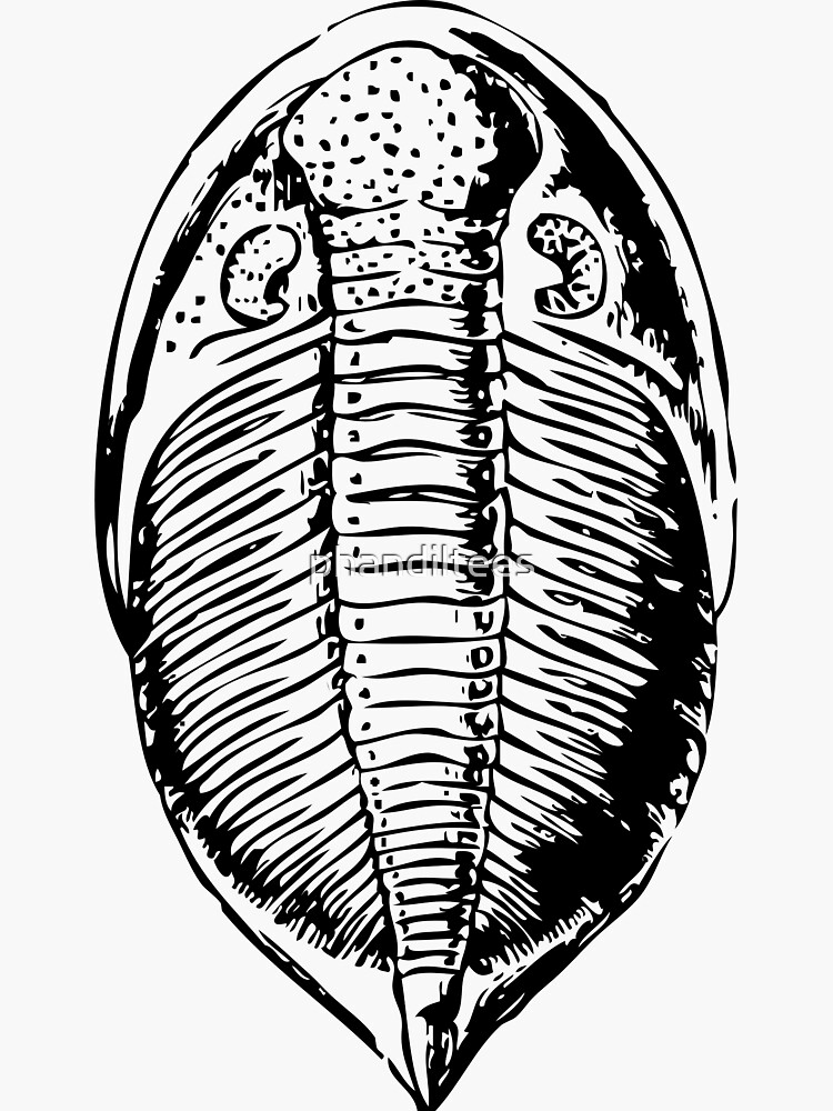 "Trilobite" Sticker for Sale by phandiltees | Redbubble