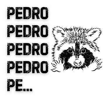 "Pedro Raccoon Dancing" Sticker for Sale by PawsitivelyElla | Redbubble