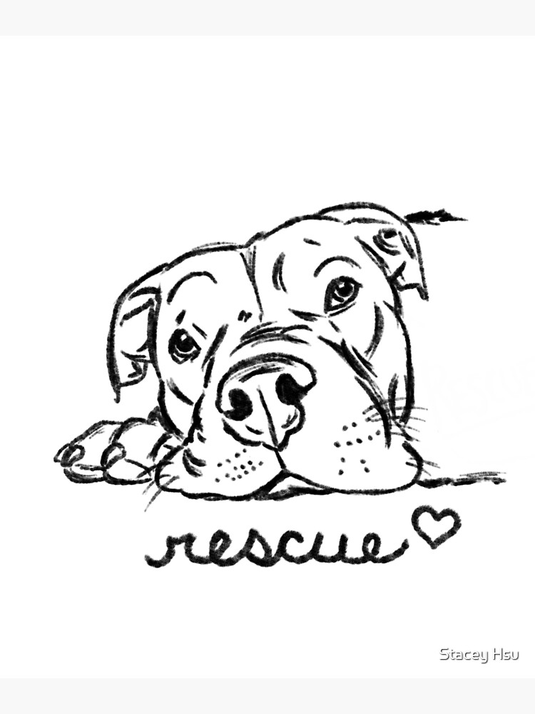 "Pit Bull Drawing, Pittie Drawing, Pit Bull Sketch, Rescue Pit Bull ...