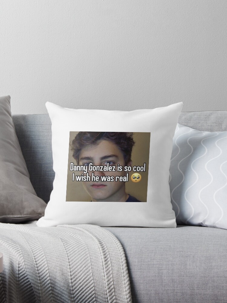 "danny gonzalez meme" Sticker for Sale by chemetarydrive | Redbubble