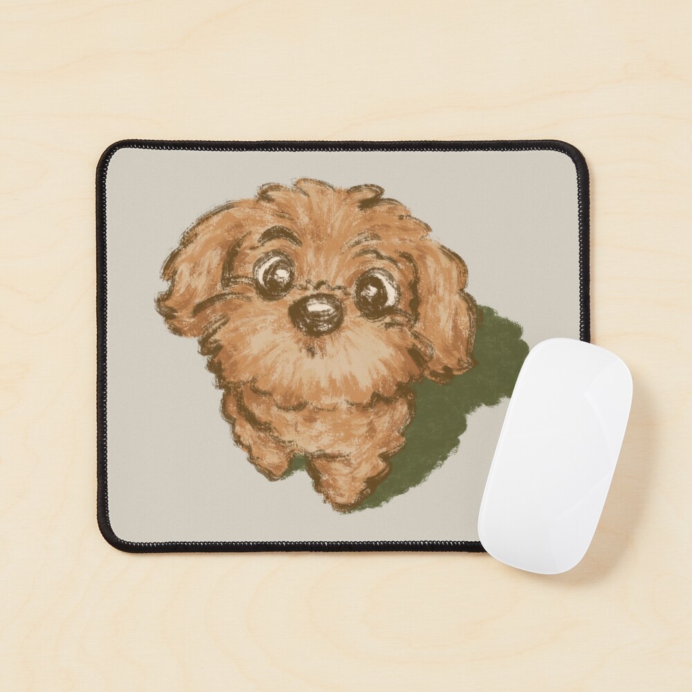 "Toy poodle looking up" Sticker for Sale by Toru Sanogawa | Redbubble