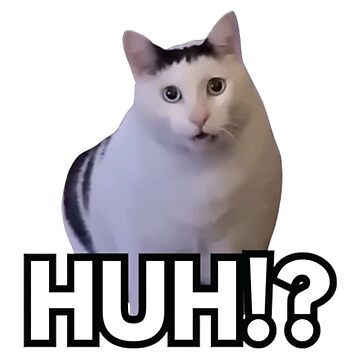 "Huh Cat Meme" Sticker for Sale by yessytenra | Redbubble