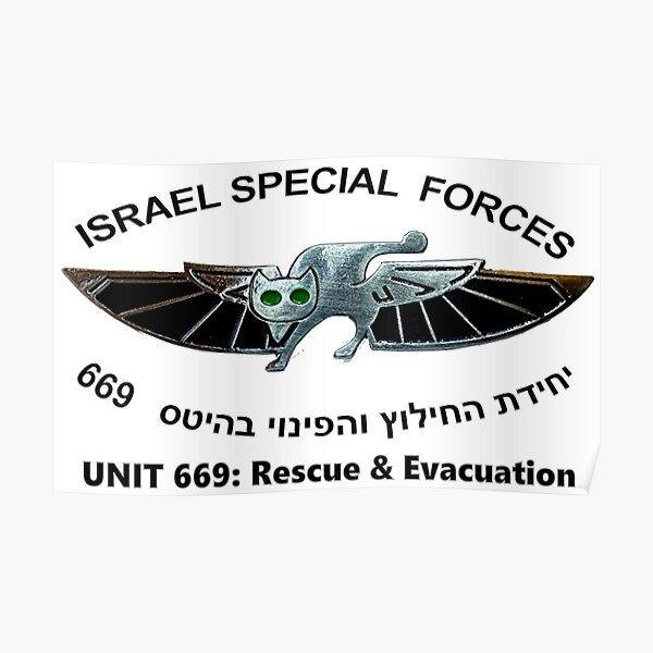 "Unit 669: Airborne Rescue and Evacuation" Poster for Sale by ...