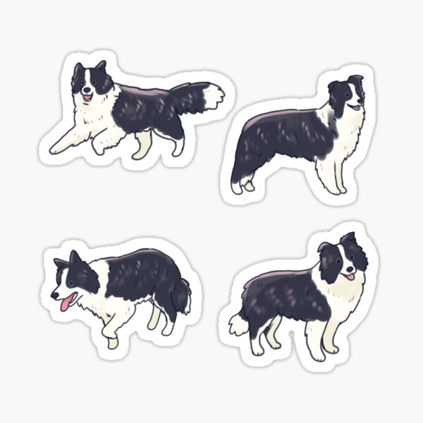 "Border collie pack " Sticker for Sale by Artofmayara | Redbubble