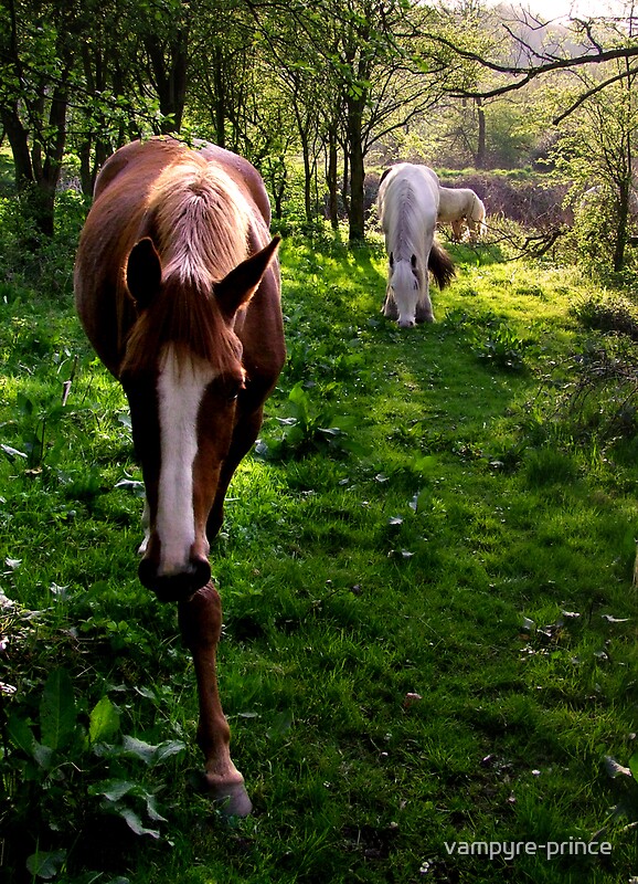 "a one legged horse?" by vampyre-prince | Redbubble