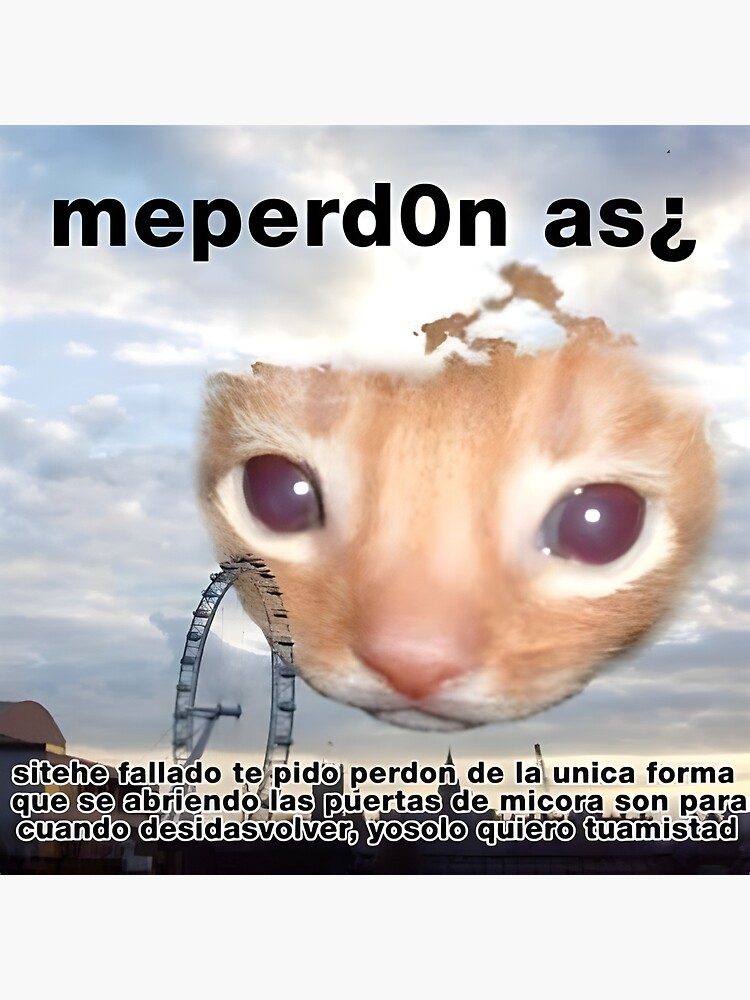 Perdona Mis Memes