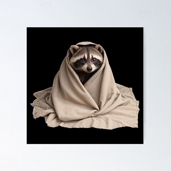 Póster for Sale con la obra «Meme mapache manta | Memes De Mapache ...