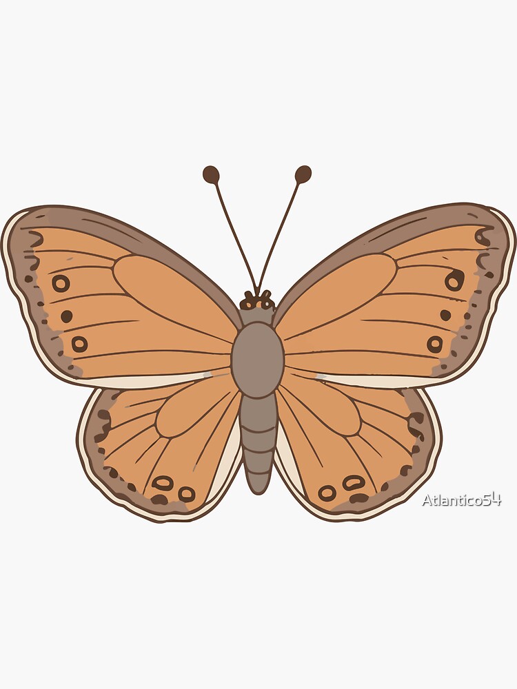 "Cute Brown Butterfly" Sticker for Sale by Atlantico54 | Redbubble