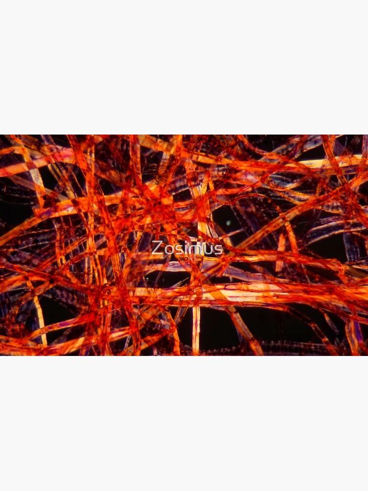 "Red plastic fibers under the microscope" Coffee Mug for Sale by ...